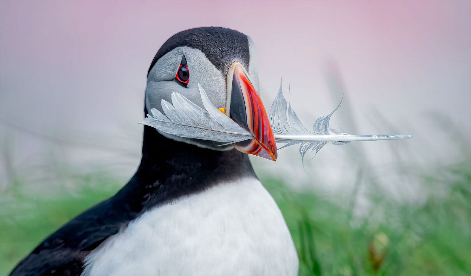 Stunning Nature Photography by Shane Kalyn | Daily design inspiration ...