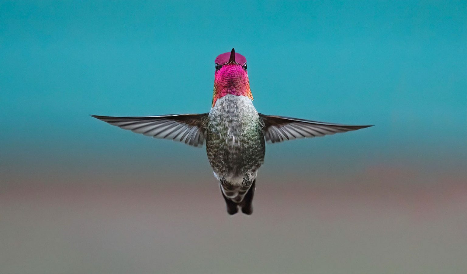Stunning Nature Photography by Shane Kalyn | Daily design inspiration ...