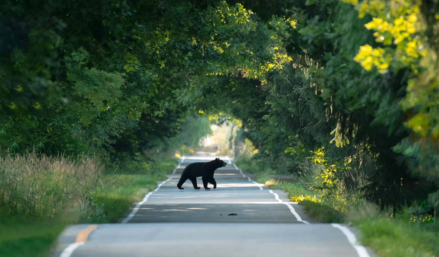 Stunning Nature Photography by Shane Kalyn | Daily design inspiration ...