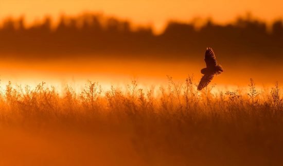 Stunning Nature Photography by Shane Kalyn | Daily design inspiration ...