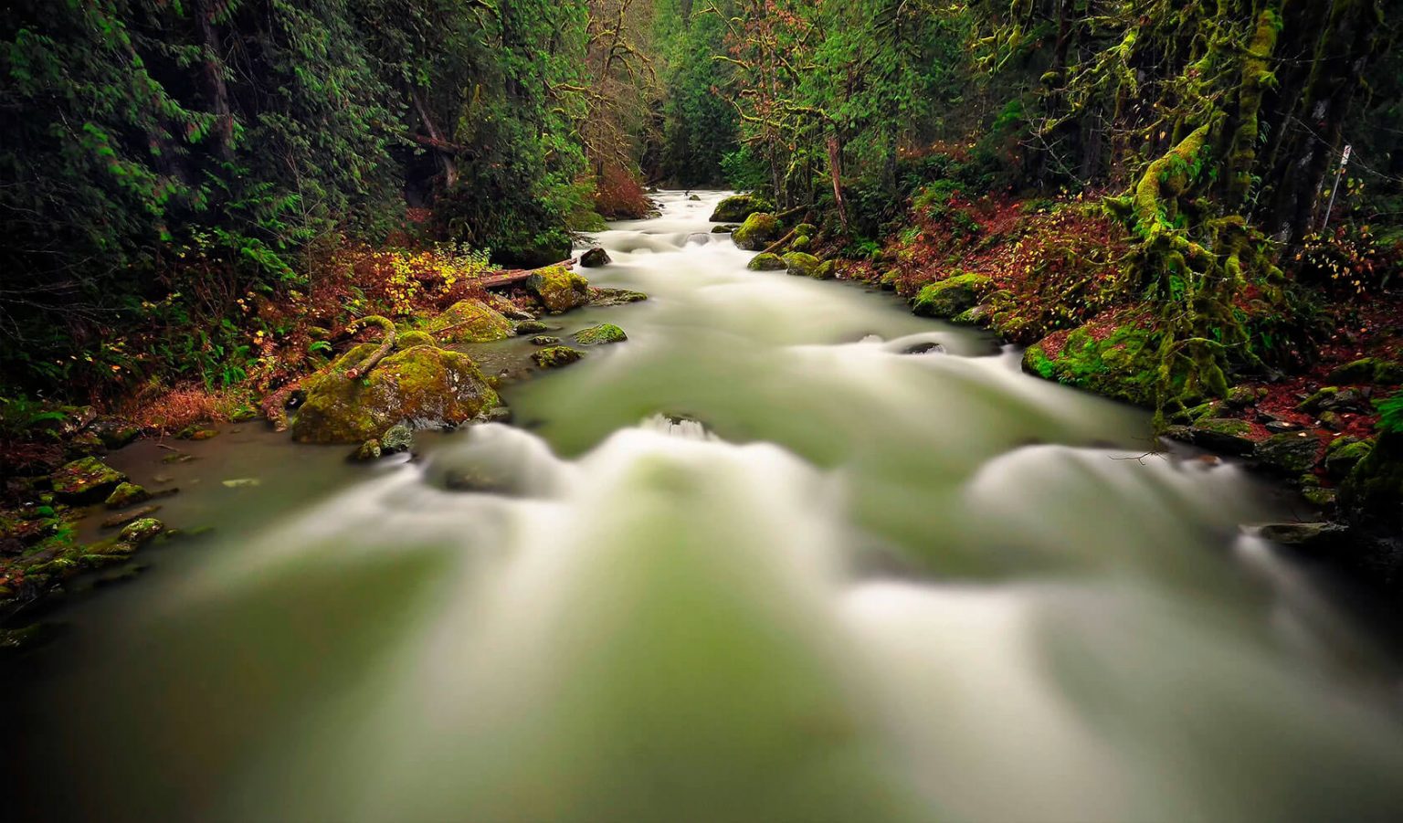 Stunning Nature Photography by Shane Kalyn | Daily design inspiration ...