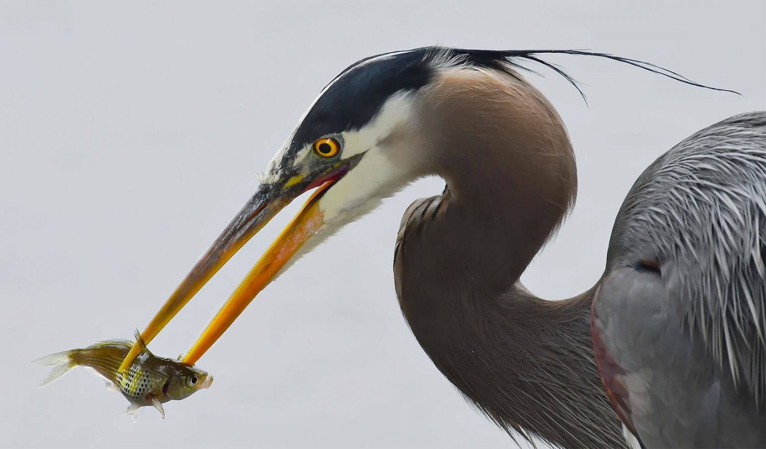 Stunning Nature Photography by Shane Kalyn | Daily design inspiration ...