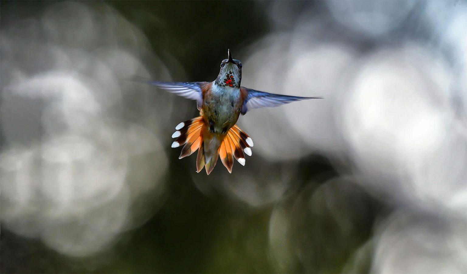 Stunning Nature Photography by Shane Kalyn | Daily design inspiration ...
