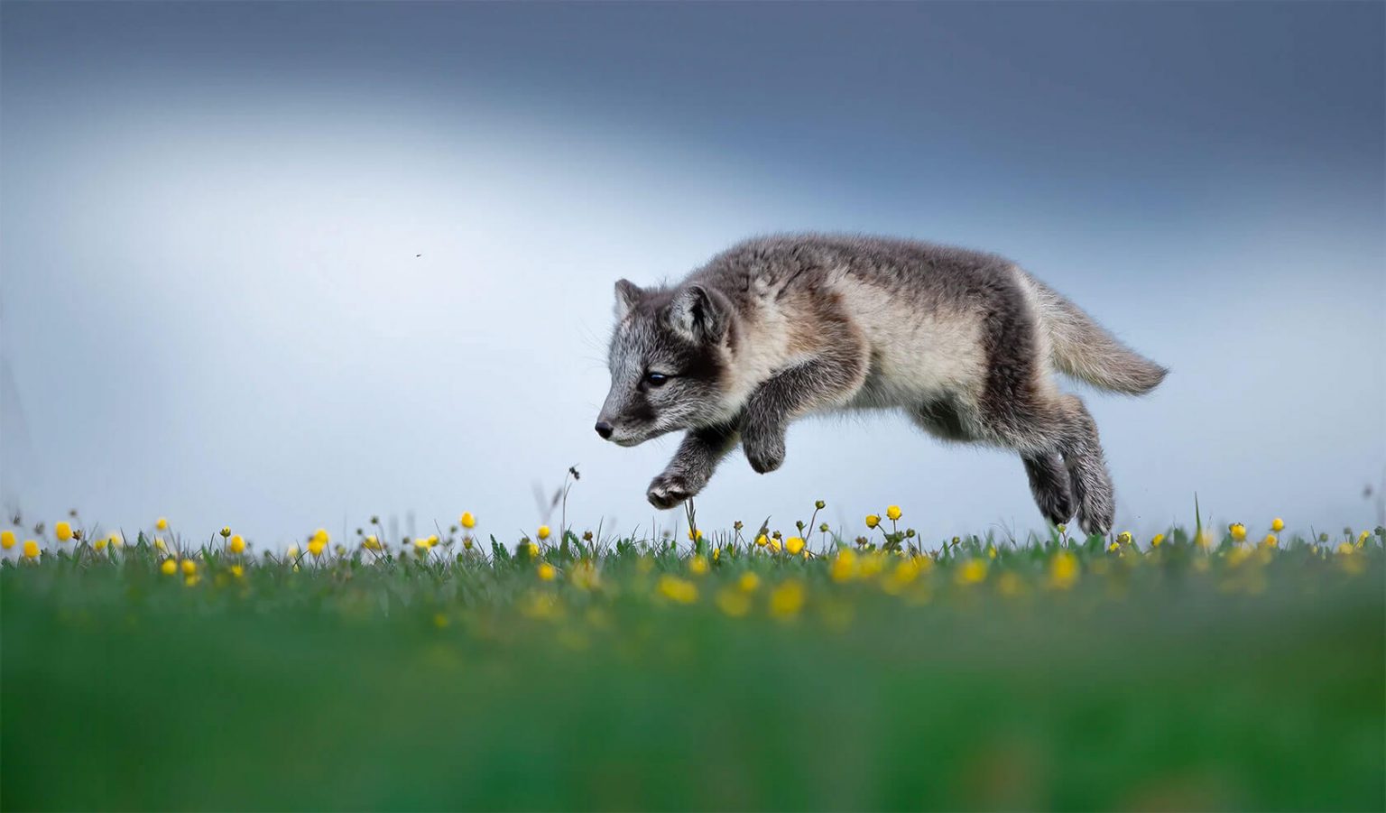 Stunning Nature Photography by Shane Kalyn | Daily design inspiration ...