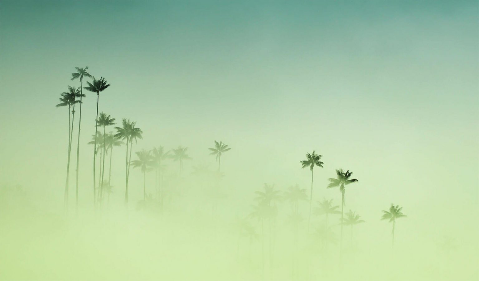 Stunning Nature Photography by Shane Kalyn | Daily design inspiration ...