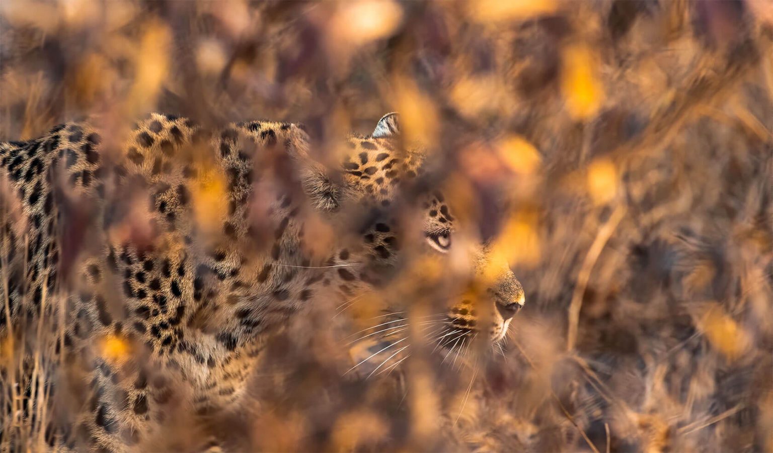 Stunning Nature Photography by Shane Kalyn | Daily design inspiration ...