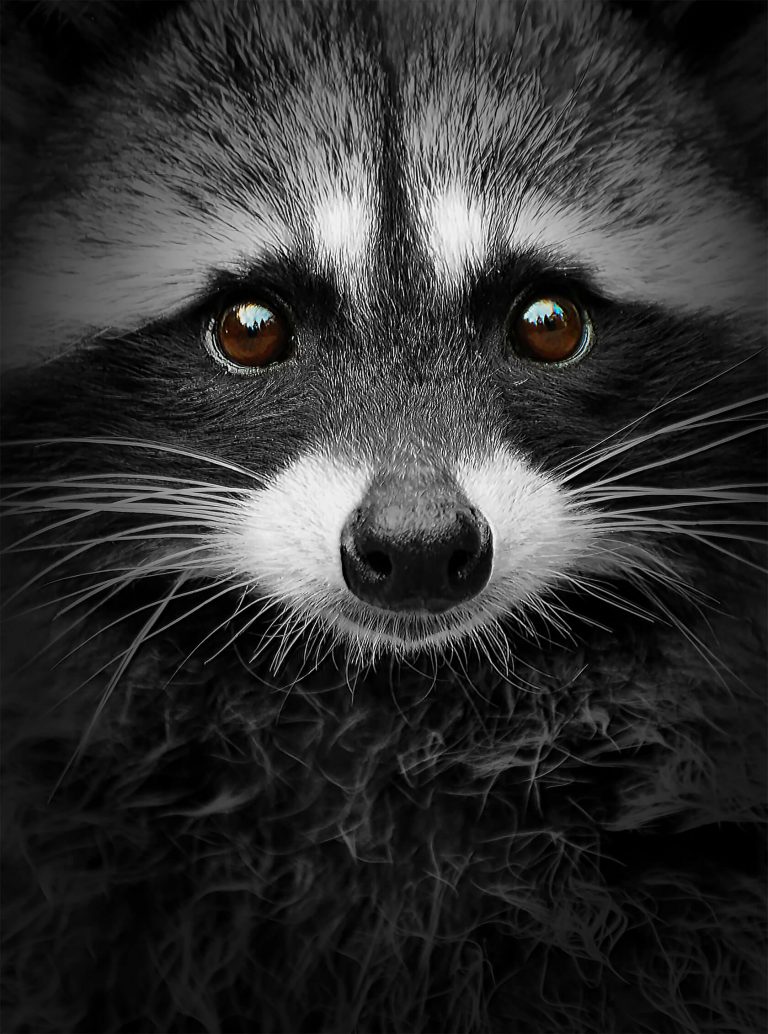 Stunning Nature Photography by Shane Kalyn | Daily design inspiration ...