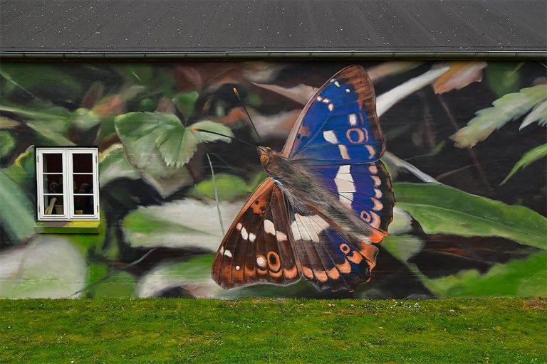 Expansive Butterfly Murals by Mantra | Daily design inspiration for ...
