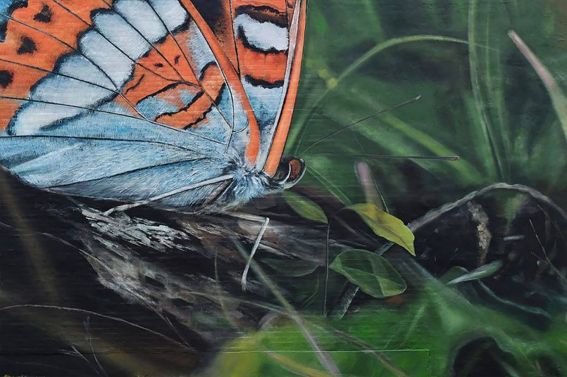 Expansive Butterfly Murals by Mantra | Daily design inspiration for ...