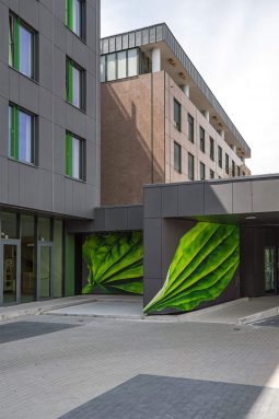 Nature-Inspired Street Art by Adele Renault | Daily design inspiration for creatives ...