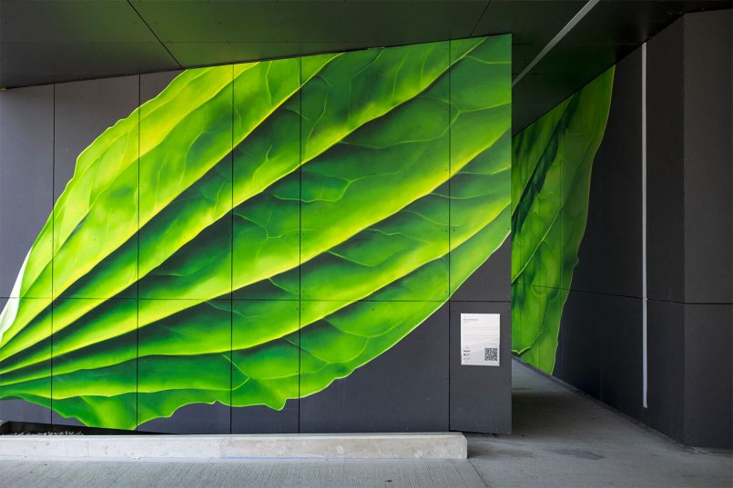 Nature-Inspired Street Art by Adele Renault | Daily design inspiration for creatives ...