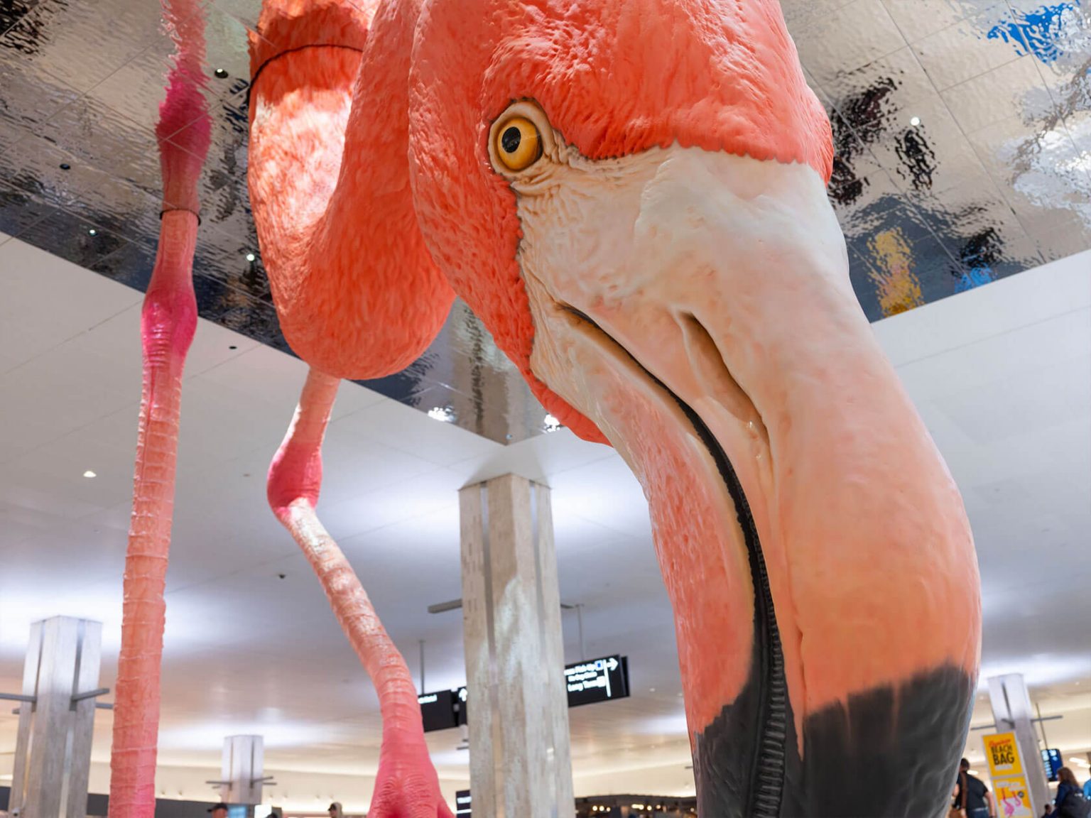 Home: Spectacular Flamingo Installation by Matthew Mazzotta | Daily ...