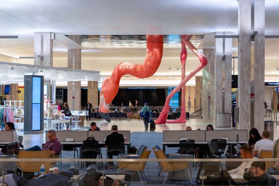 Home: Spectacular Flamingo Installation by Matthew Mazzotta | Daily ...