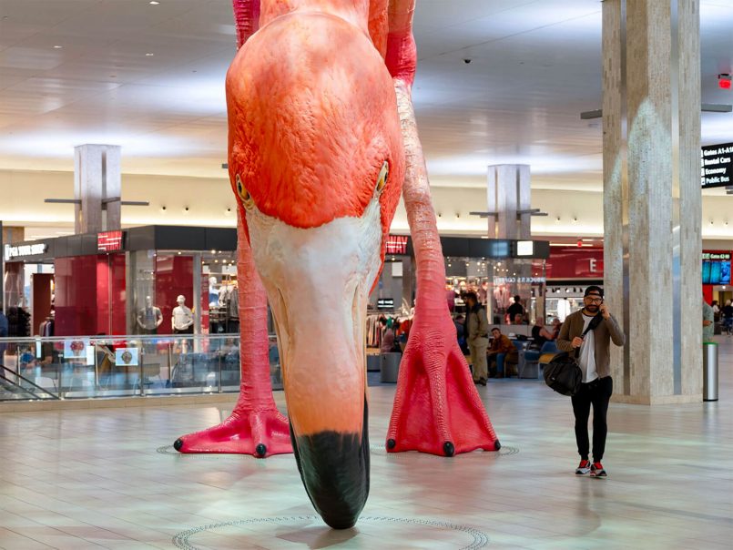 Home: Spectacular Flamingo Installation by Matthew Mazzotta | Daily ...