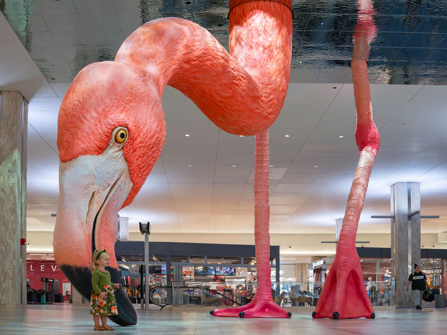 Home: Spectacular Flamingo Installation by Matthew Mazzotta | Daily ...
