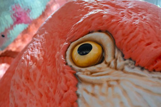 Home: Spectacular Flamingo Installation by Matthew Mazzotta | Daily ...