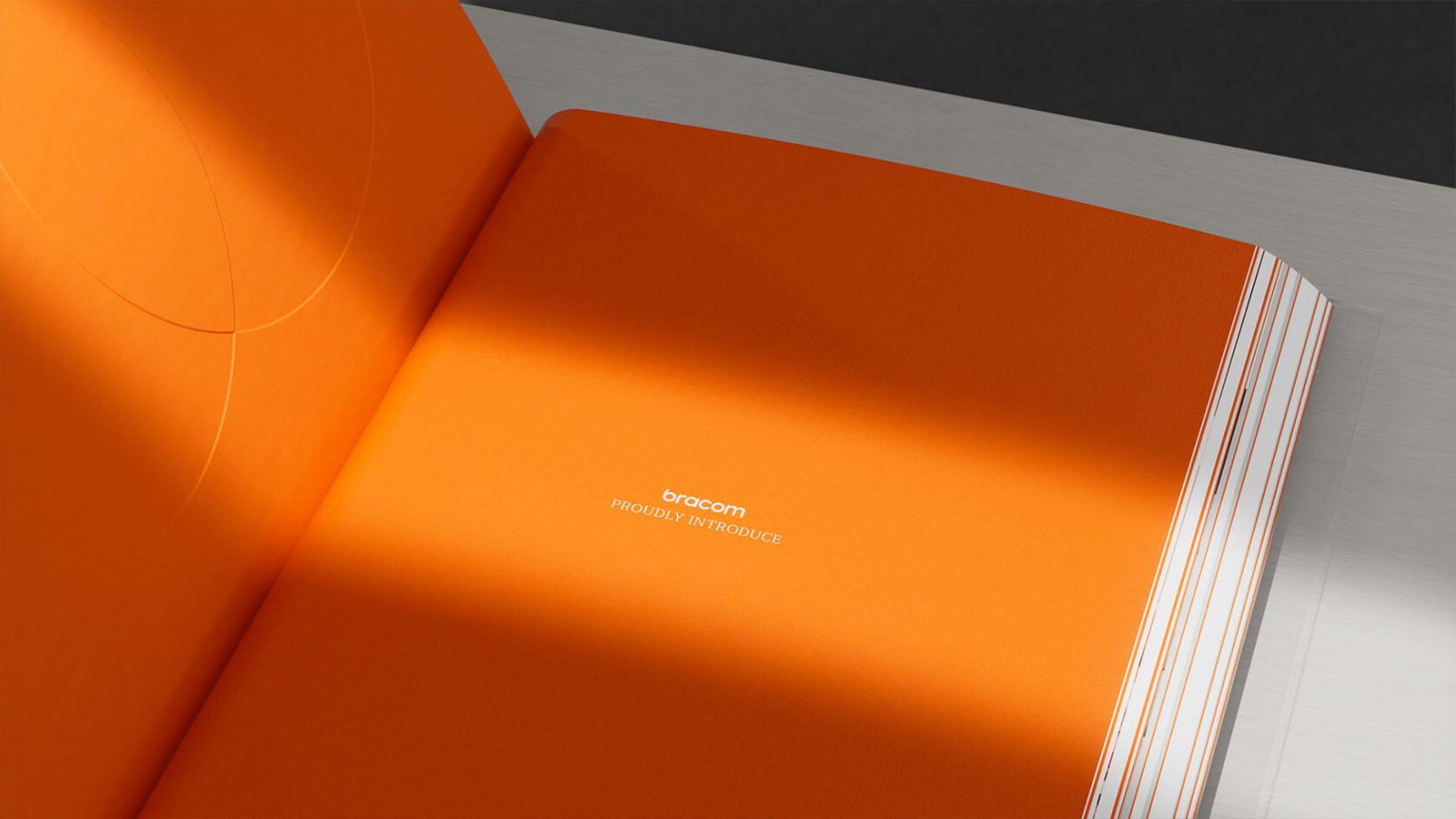 Arts of Packaging Design: a Book by Bracom | Daily design inspiration ...