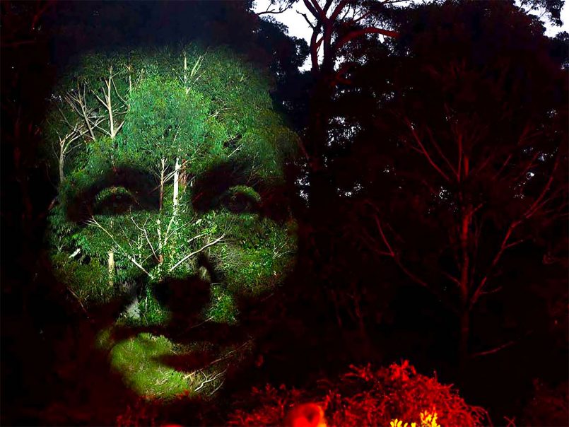 Monuments: Amazing Portrait Projections by Craig Walsh | Daily design ...