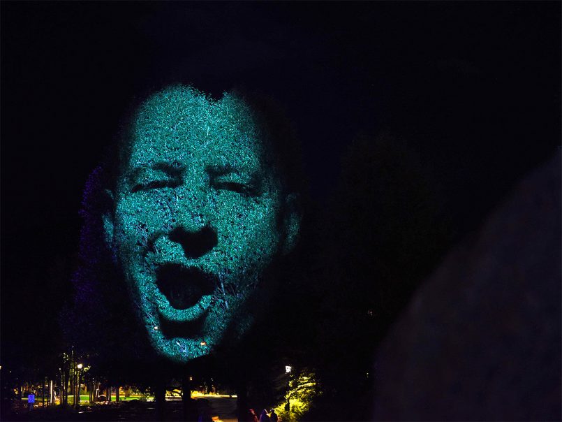 Monuments: Amazing Portrait Projections by Craig Walsh | Daily design ...
