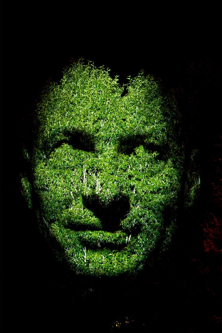 Monuments: Amazing Portrait Projections by Craig Walsh | Daily design ...