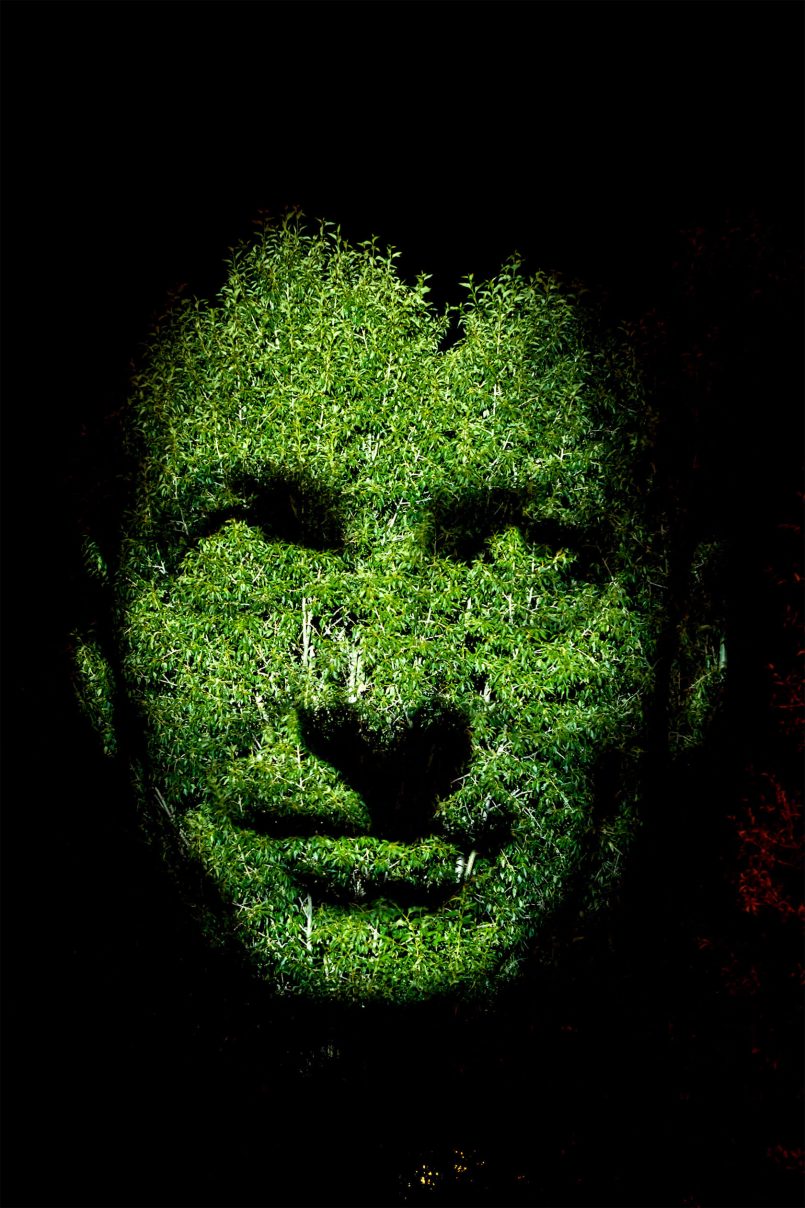 Monuments: Amazing Portrait Projections by Craig Walsh | Daily design ...