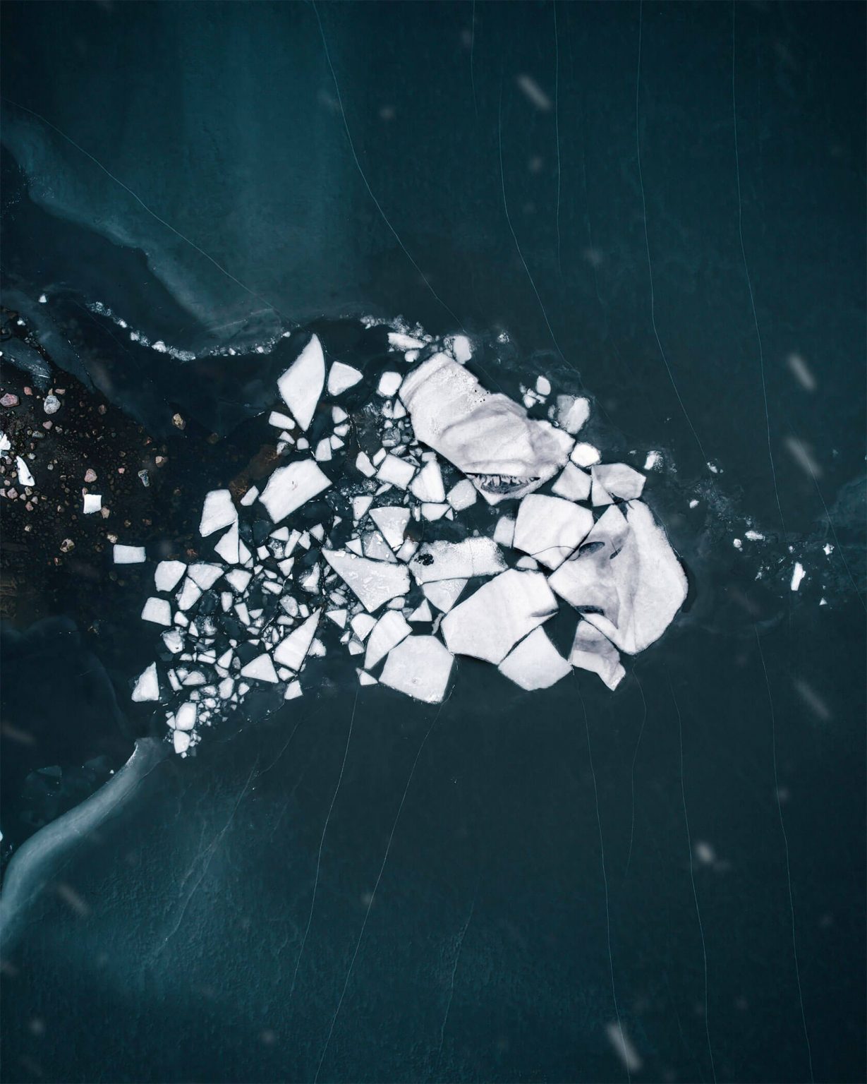 Earth Murals: Ephemeral Land Art by David Popa | Daily design ...