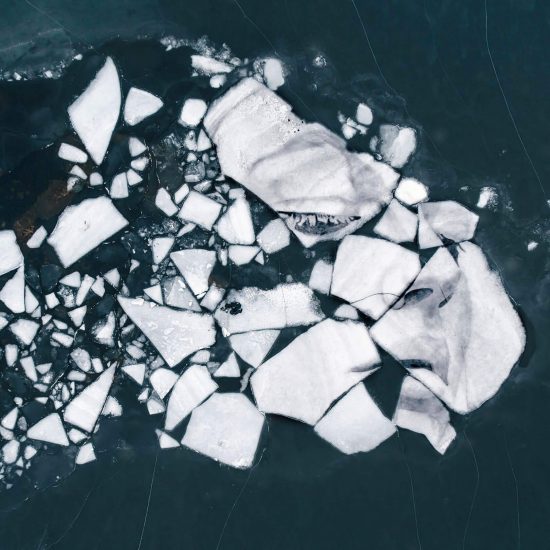 Earth Murals: Ephemeral Land Art by David Popa | Daily design ...