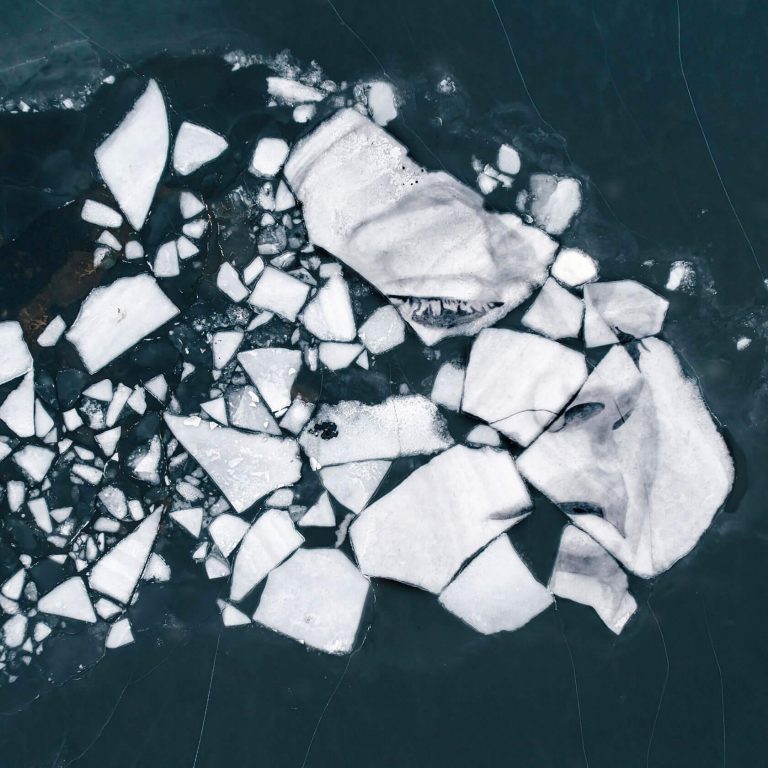 Earth Murals: Ephemeral Land Art by David Popa | Daily design ...