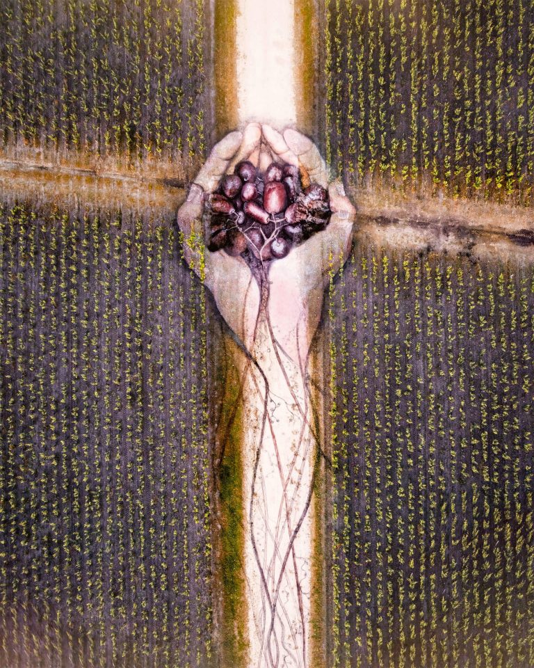 Earth Murals: Ephemeral Land Art by David Popa | Daily design ...