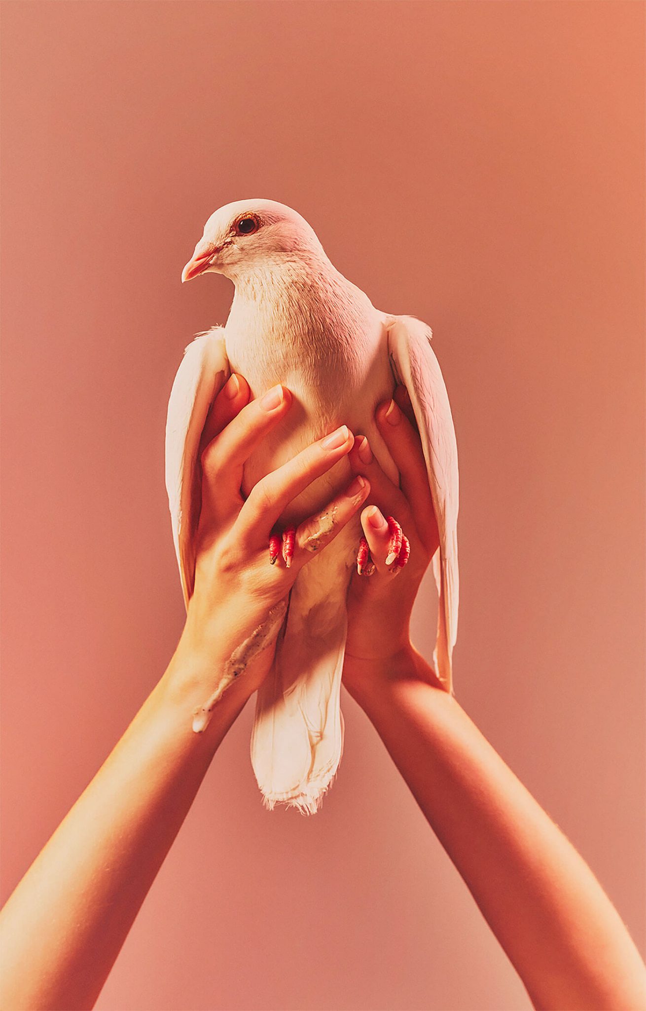 Photography & Art Direction by Gabrielle Sykes | Daily design ...