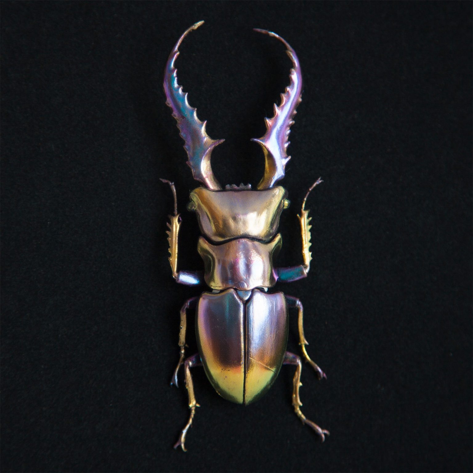 Mineral Insects: 3D Printed Sculptures by Nozomi C | Daily design ...