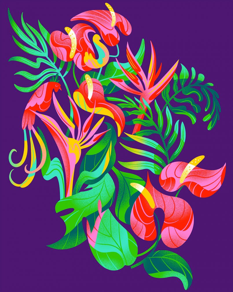 Fun & Lively Illustrations by Jordan Kay | Daily design inspiration for ...