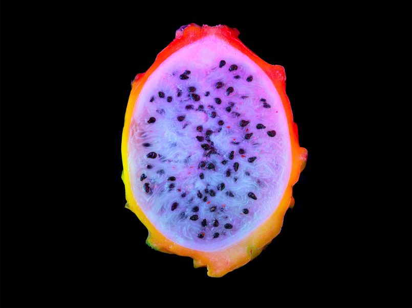 Inner Beauty: Macro Photography Series by Mathew Guido | Daily design ...