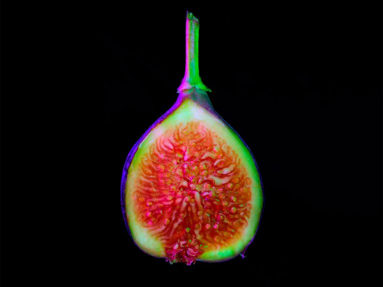 Inner Beauty: Macro Photography Series by Mathew Guido | Daily design ...