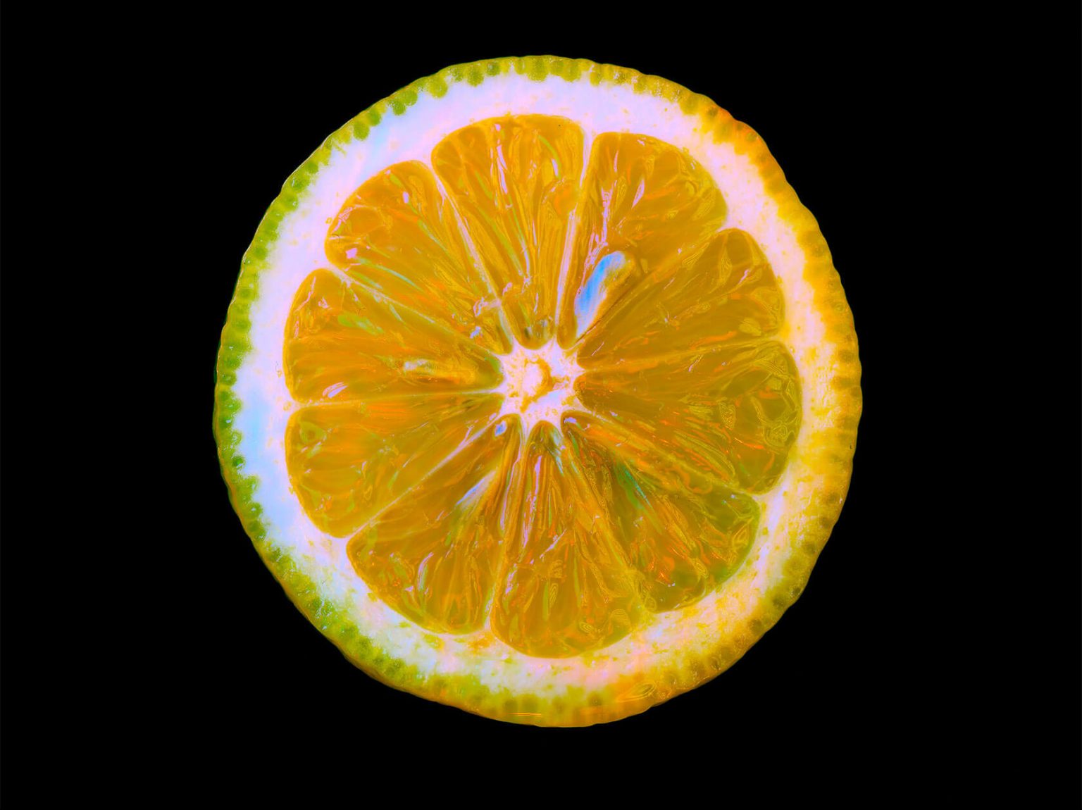 Inner Beauty: Macro Photography Series by Mathew Guido | Daily design ...