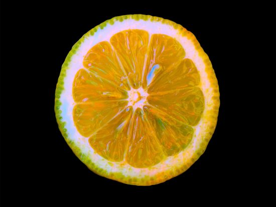 Inner Beauty: Macro Photography Series by Mathew Guido | Daily design ...