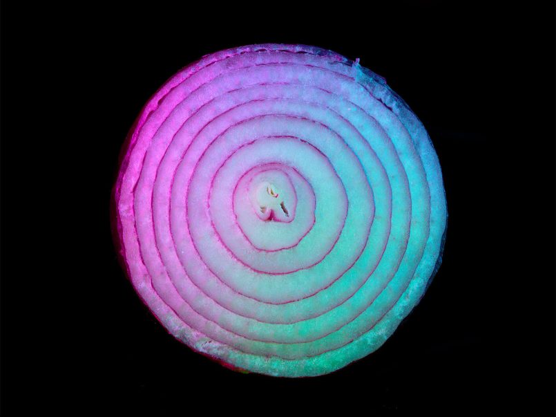 Inner Beauty: Macro Photography Series by Mathew Guido | Daily design ...