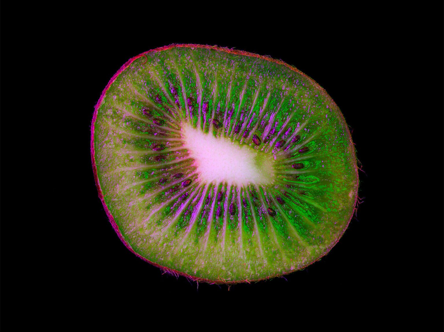 Inner Beauty: Macro Photography Series by Mathew Guido | Daily design ...