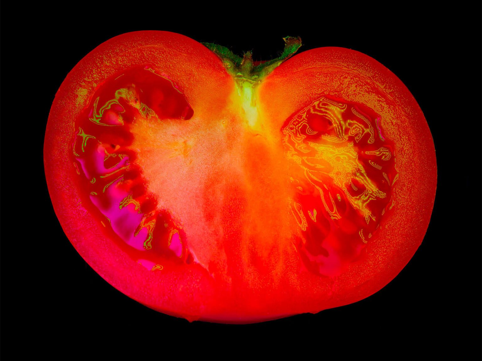 Inner Beauty: Macro Photography Series by Mathew Guido | Daily design ...