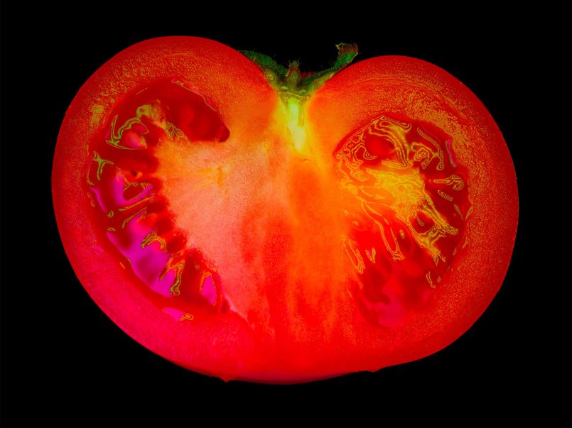 Inner Beauty: Macro Photography Series by Mathew Guido | Daily design ...