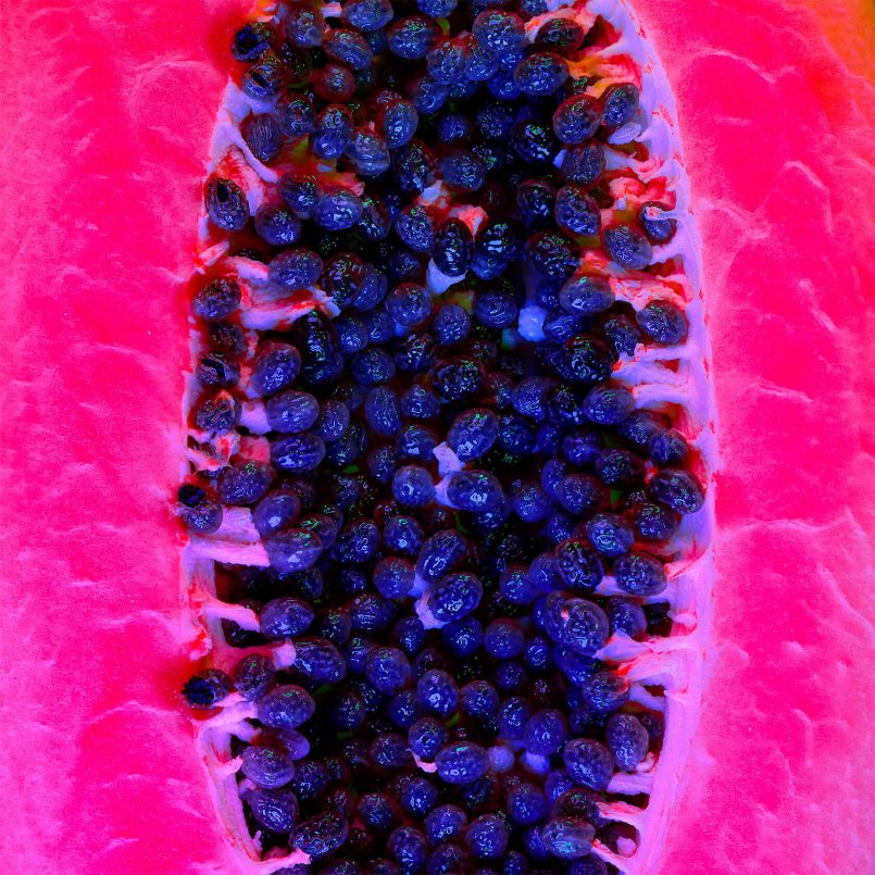 Inner Beauty: Macro Photography Series by Mathew Guido | Daily design ...