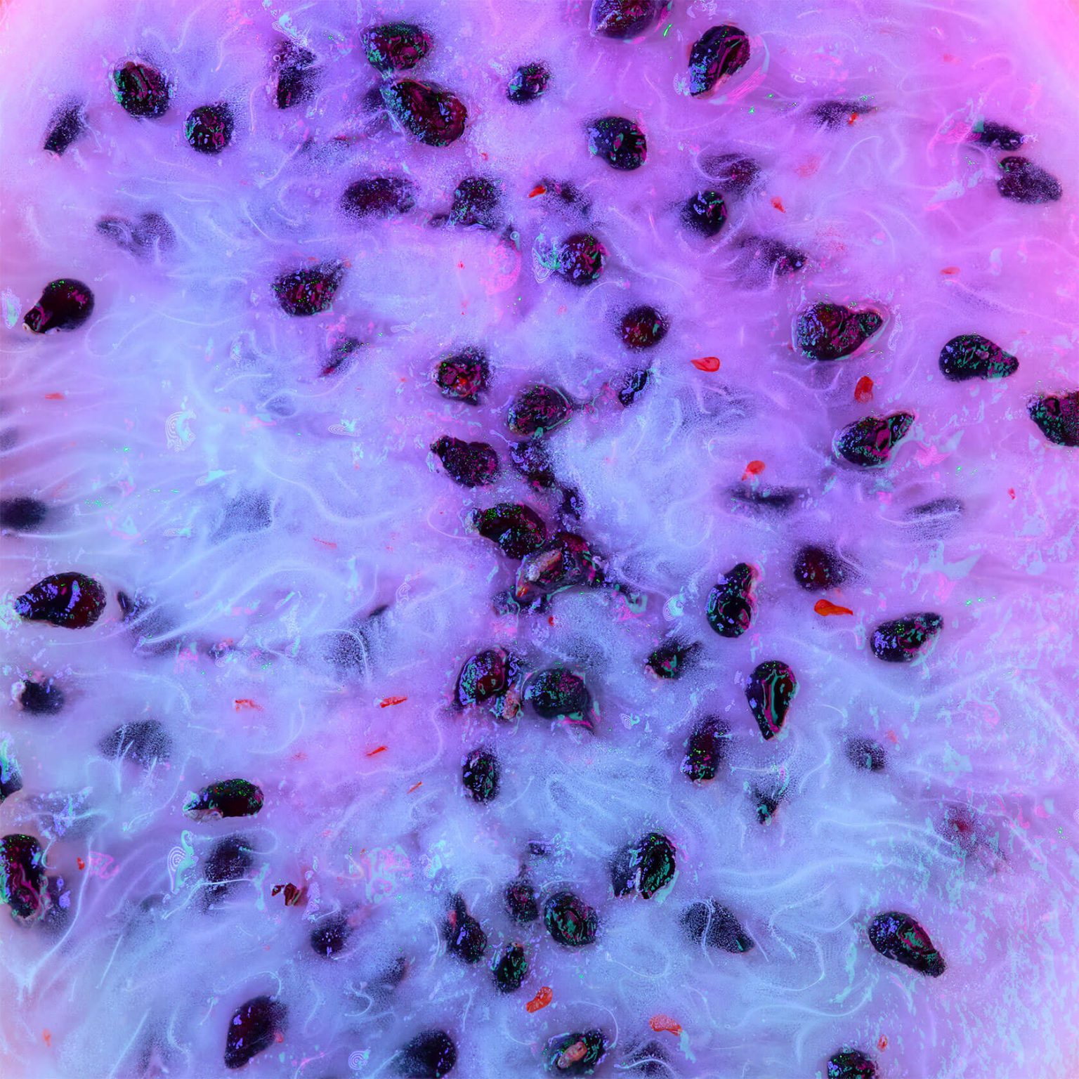 Inner Beauty: Macro Photography Series by Mathew Guido | Daily design ...