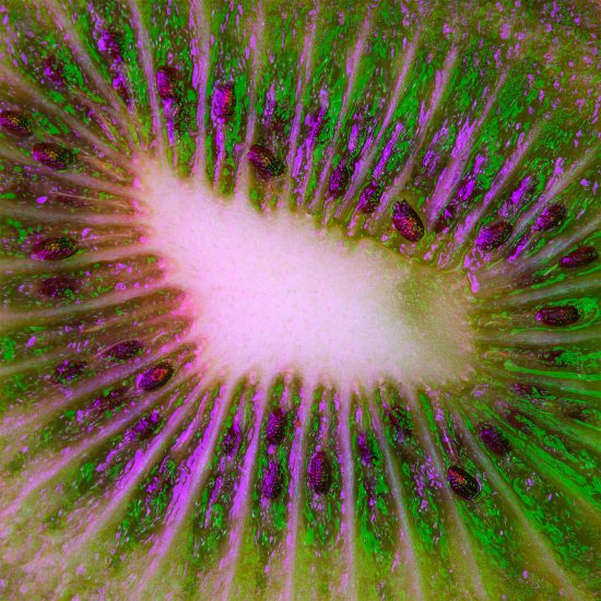 Inner Beauty: Macro Photography Series by Mathew Guido | Daily design ...