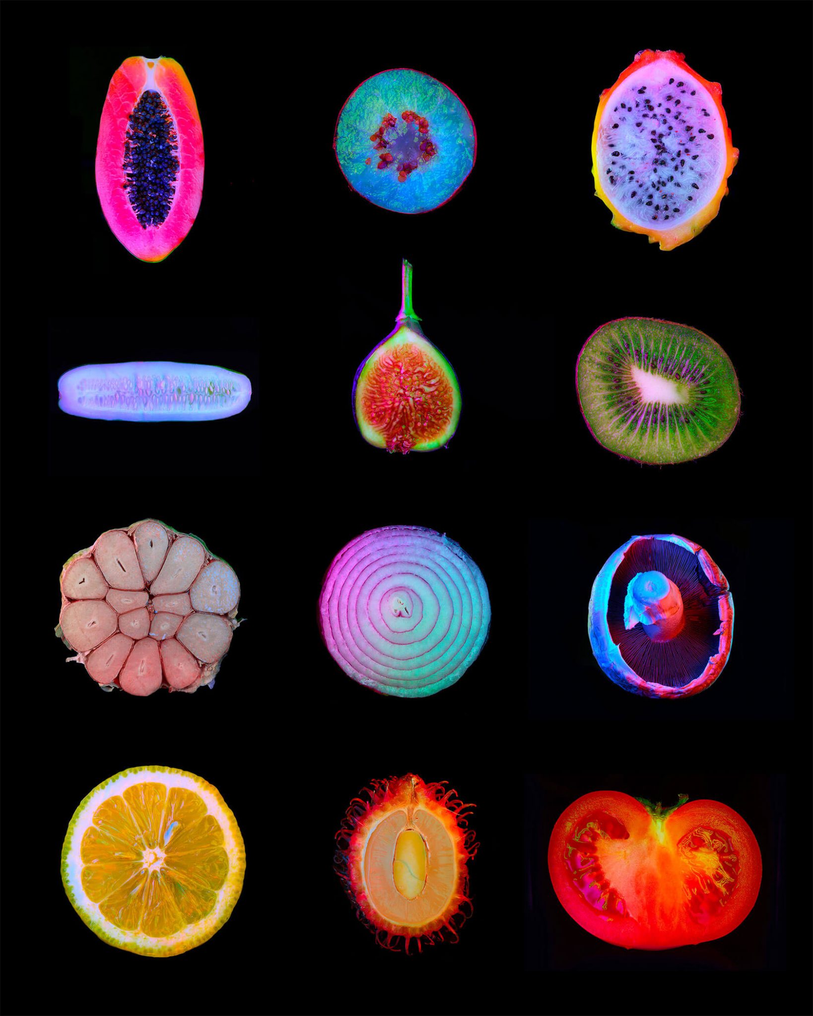 Inner Beauty: Macro Photography Series by Mathew Guido | Daily design ...