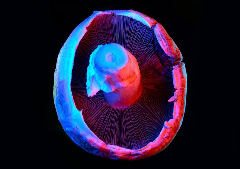 Photography inspiration | Daily design inspiration for creatives ...