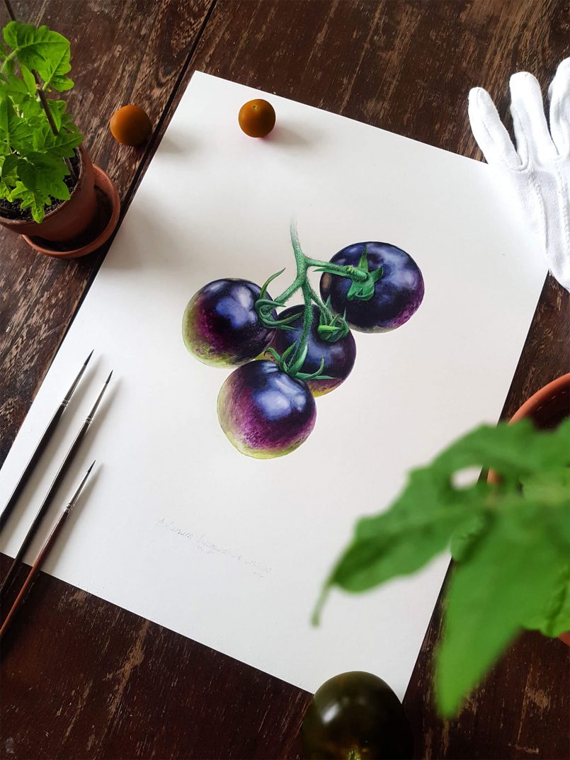 Botanical Watercolor Illustrations by David Bou | Daily design ...