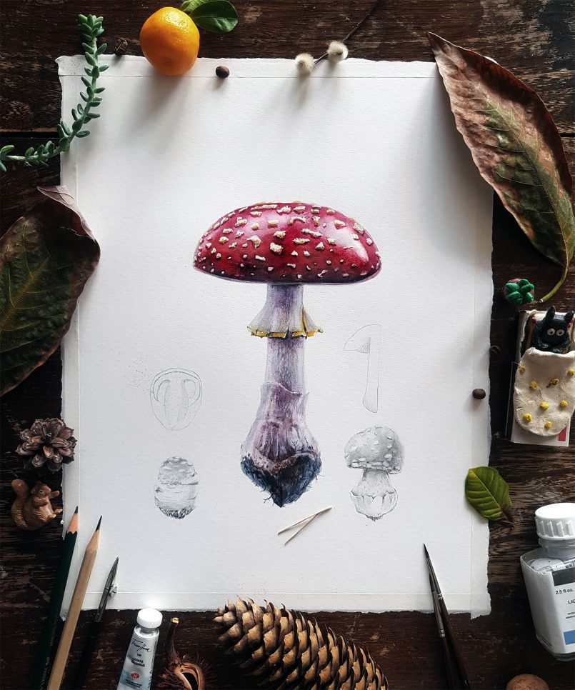 Botanical Watercolor Illustrations by David Bou | Daily design ...