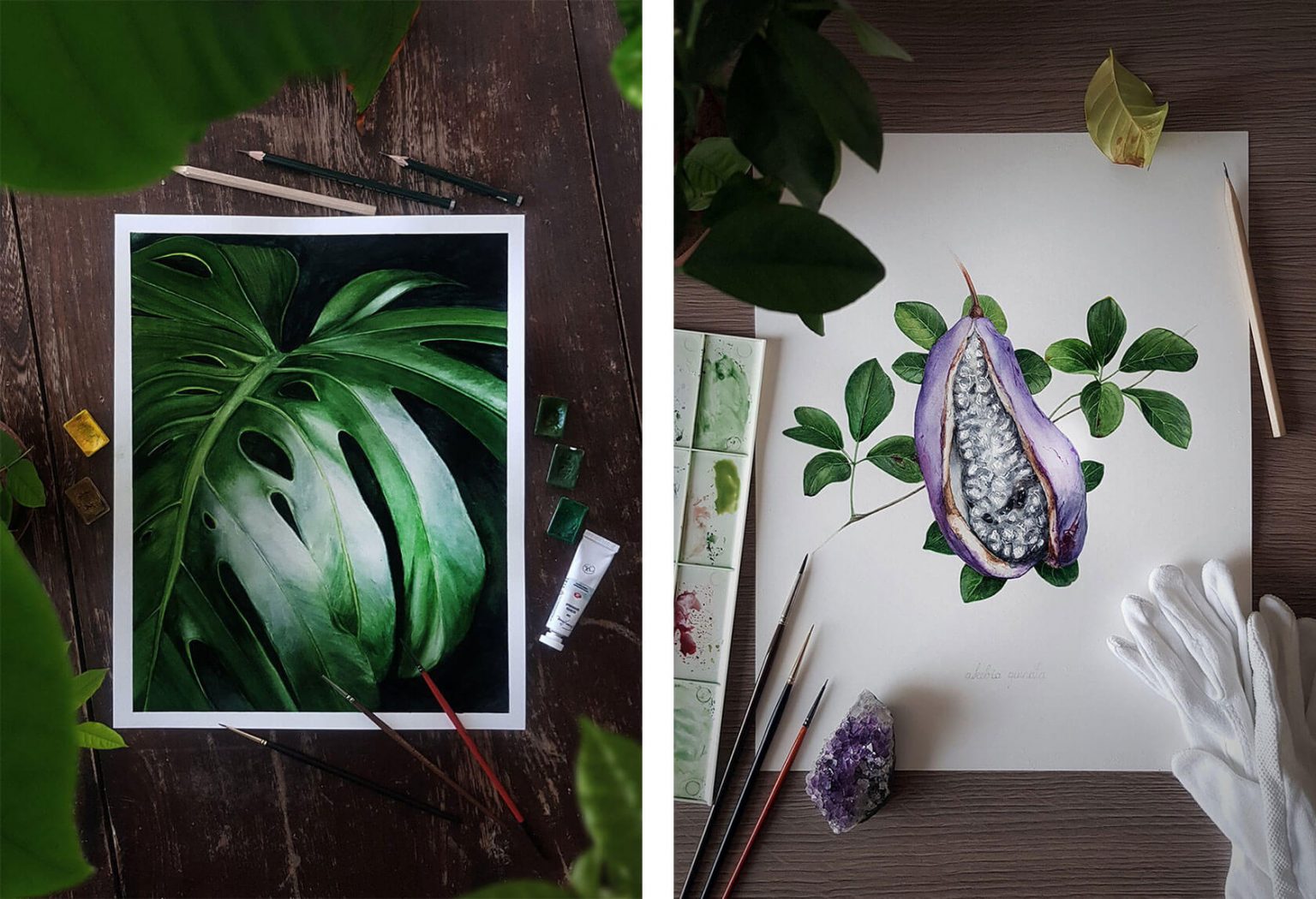 Botanical Watercolor Illustrations by David Bou | Daily design ...