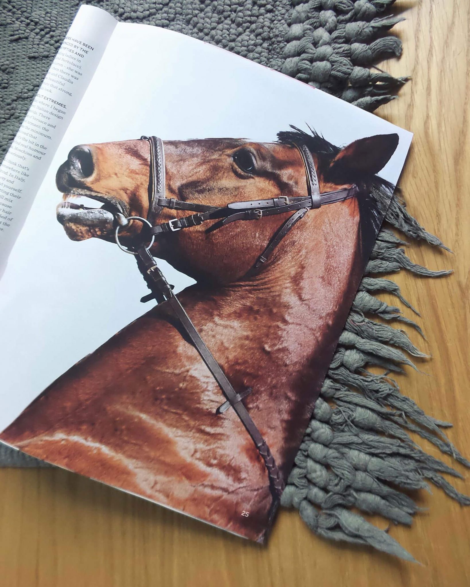 Fun Photographic Mashups by Dudi Ben Simon | Daily design inspiration ...