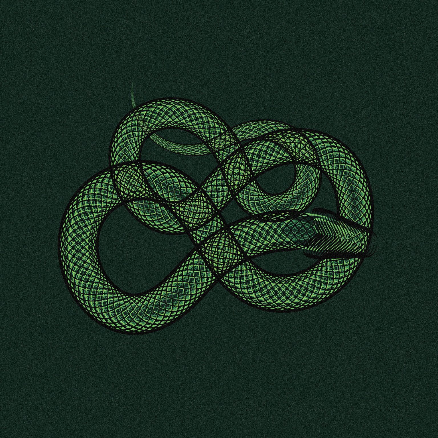 Fluid Lines: Illustrations by Andrea Minini | Daily design inspiration ...